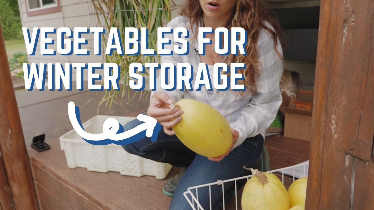 Store Vegetables Without a Root Cellar – Videos – Mother Earth News